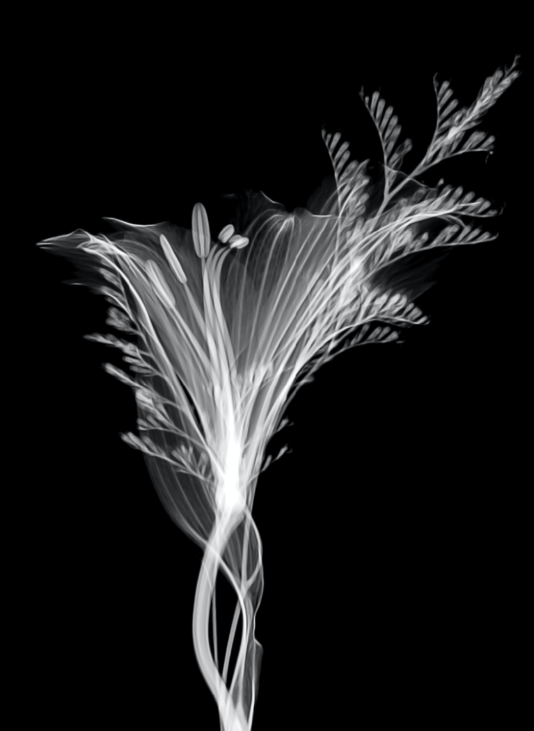 X Ray Technology Dylog Hitech